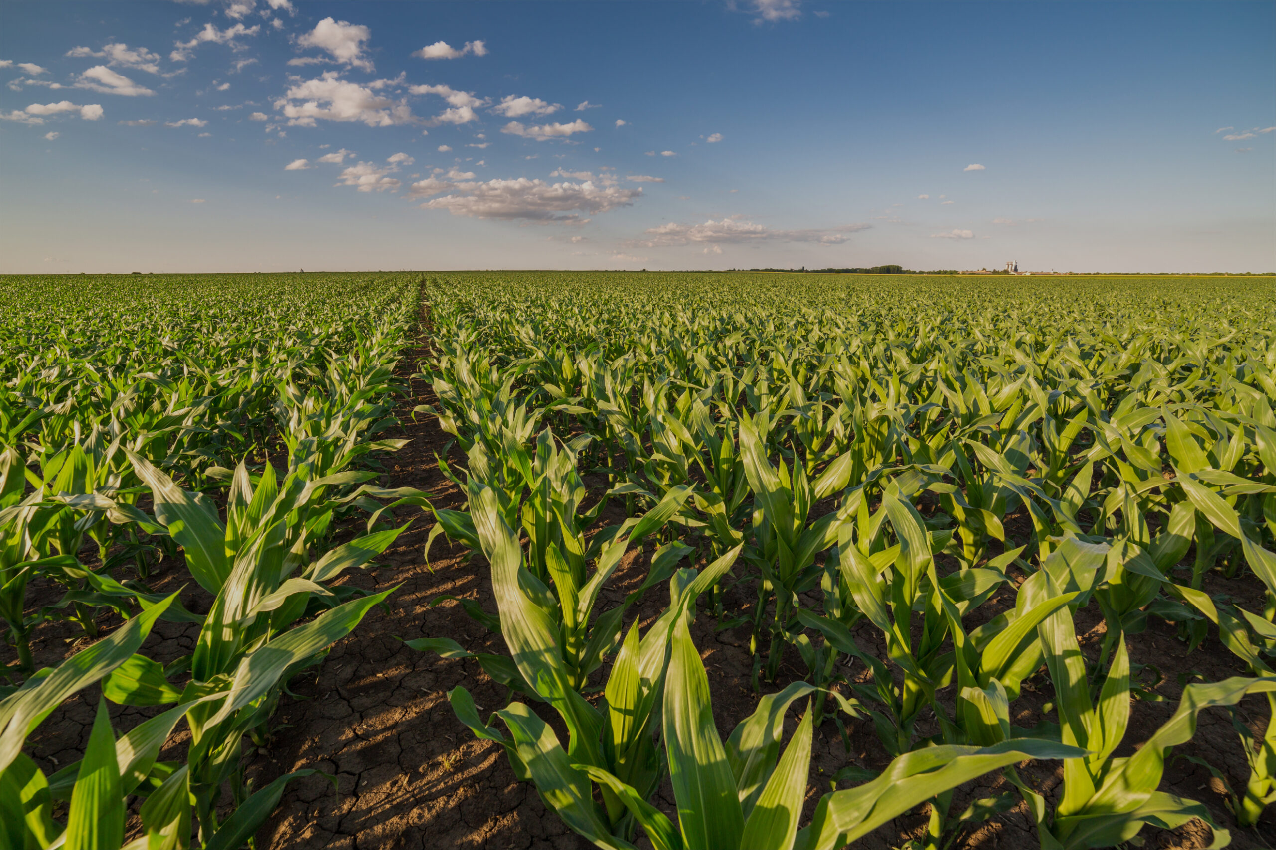 South Dakota | Modern Ag Alliance