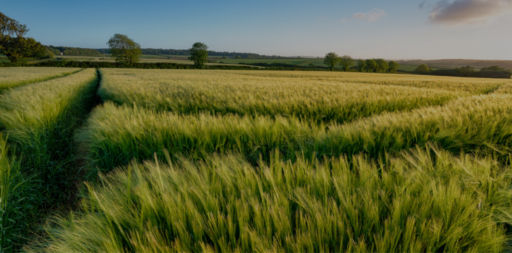 Contact Us | Modern Ag Alliance