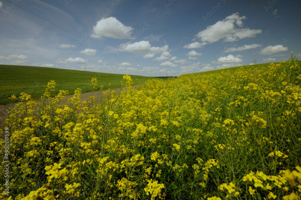 Resources | Modern Ag Alliance