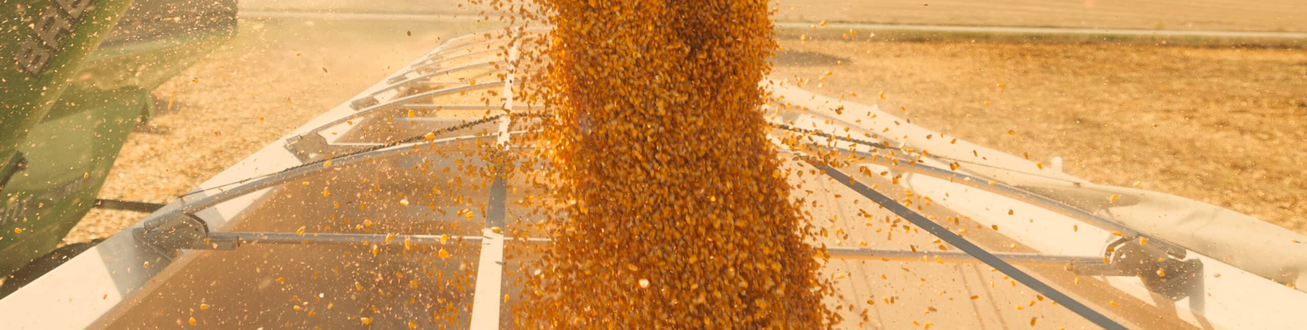 Take Action | Modern Ag Alliance